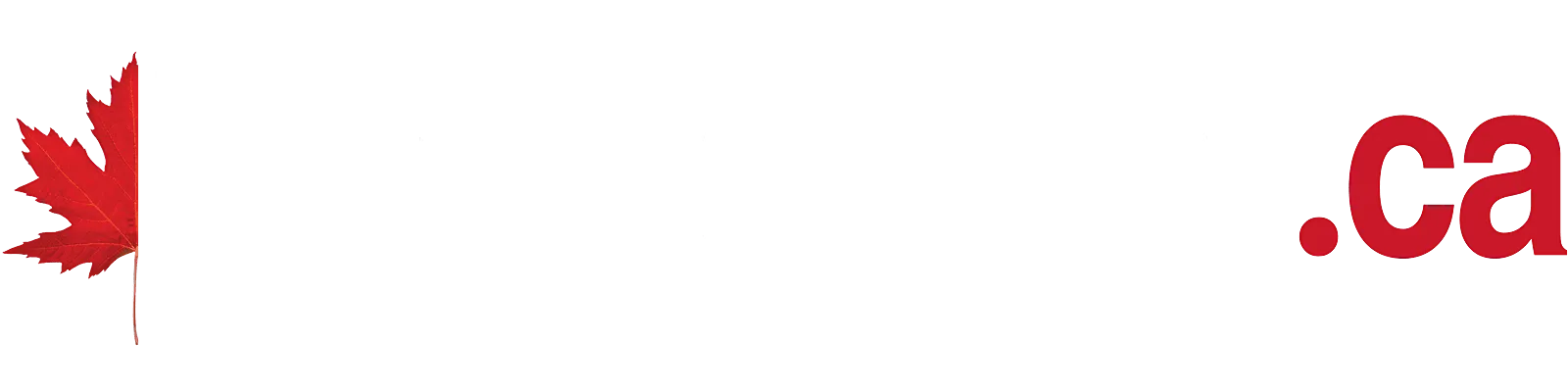 Instructions to Fill the Financial Evaluation Form (IMM 1283) - Canada ...