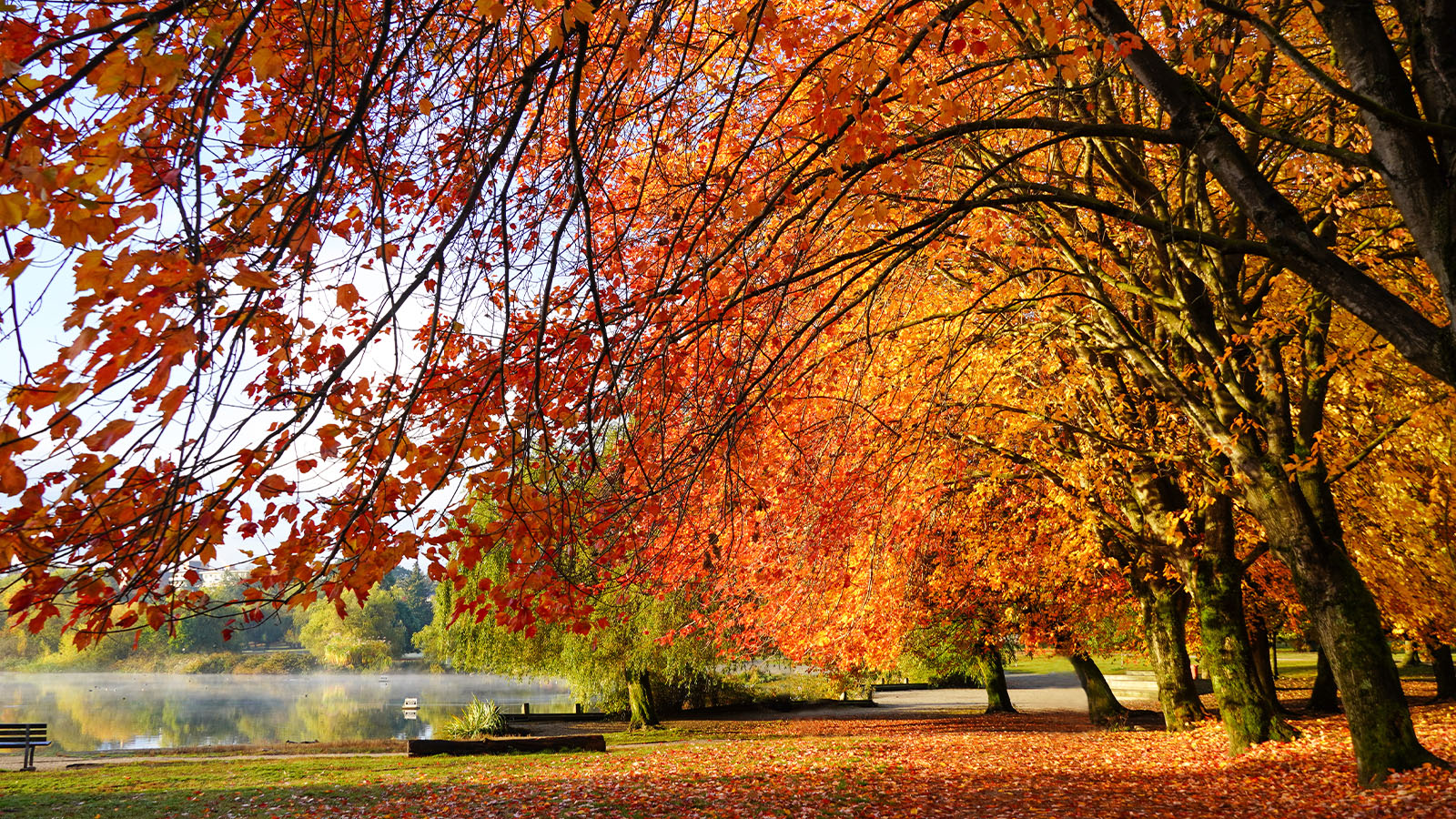 Top 10 Things To Know For Newcomers About Fall In Canada - Canada ...